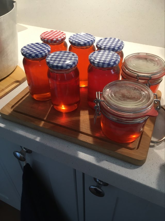 The return trip! – Becky Bakes…