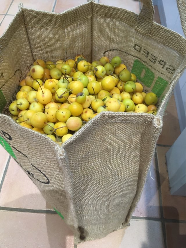 The return trip! – Becky Bakes…